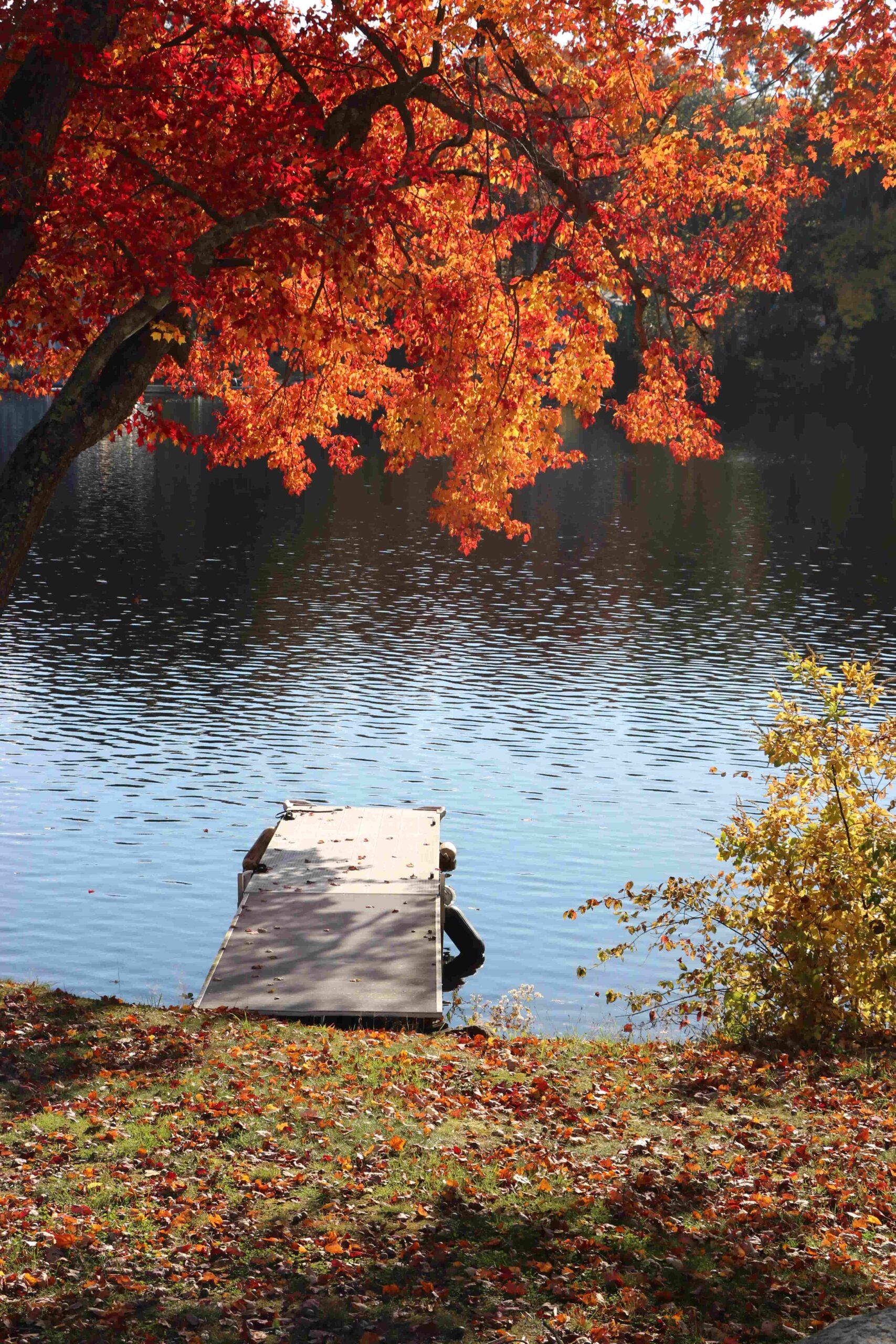 gallery (4) – Glocester Country Club